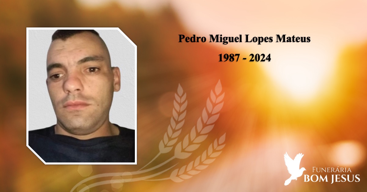 Pedro Miguel Lopes Mateus